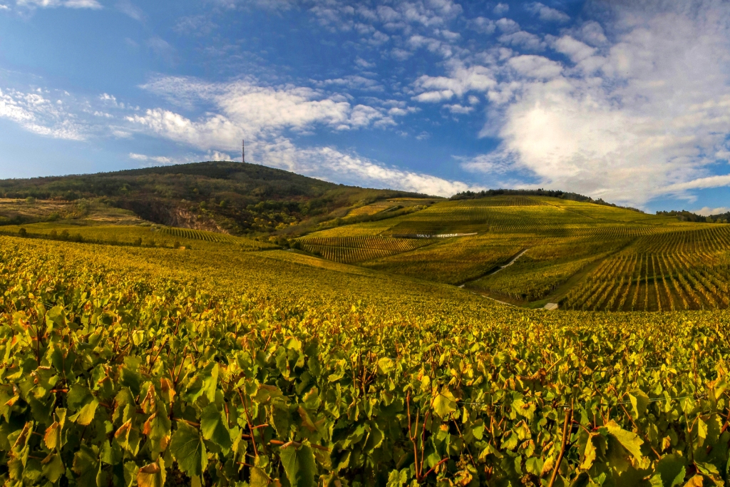 Zoltán Demeter Foundation